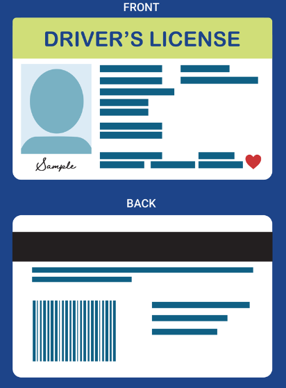 Driver's License Scan | Donate Life America